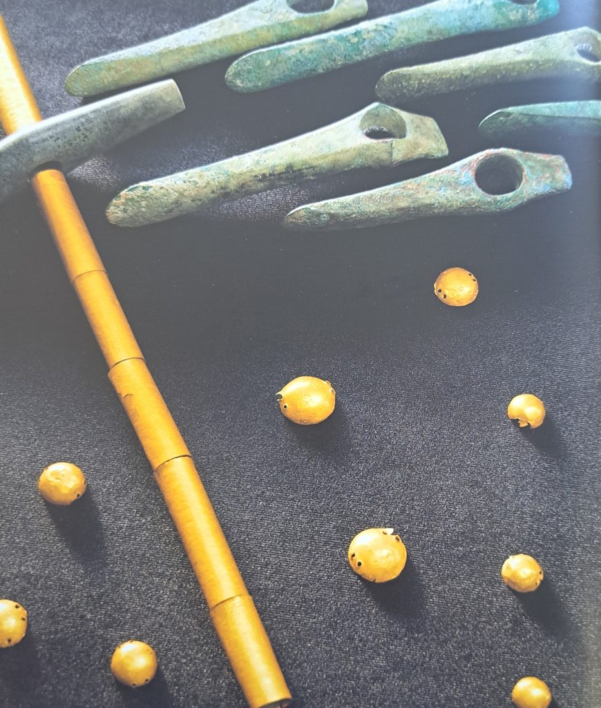 The First King of Europe - Crowdfunding Project