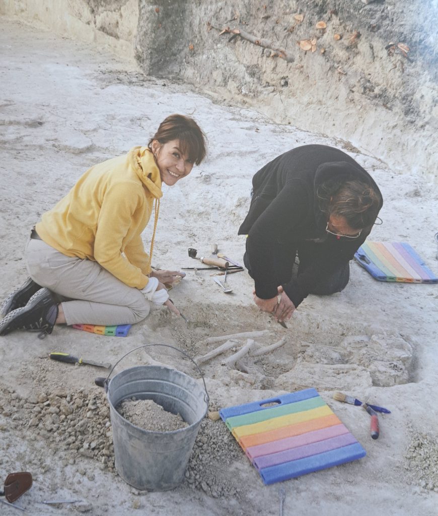 The First King of Europe - Crowdfunding Project