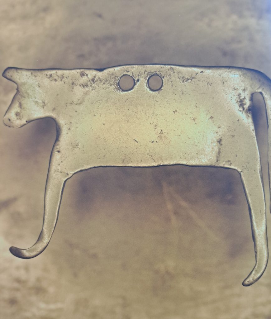 The First King of Europe - Crowdfunding Project