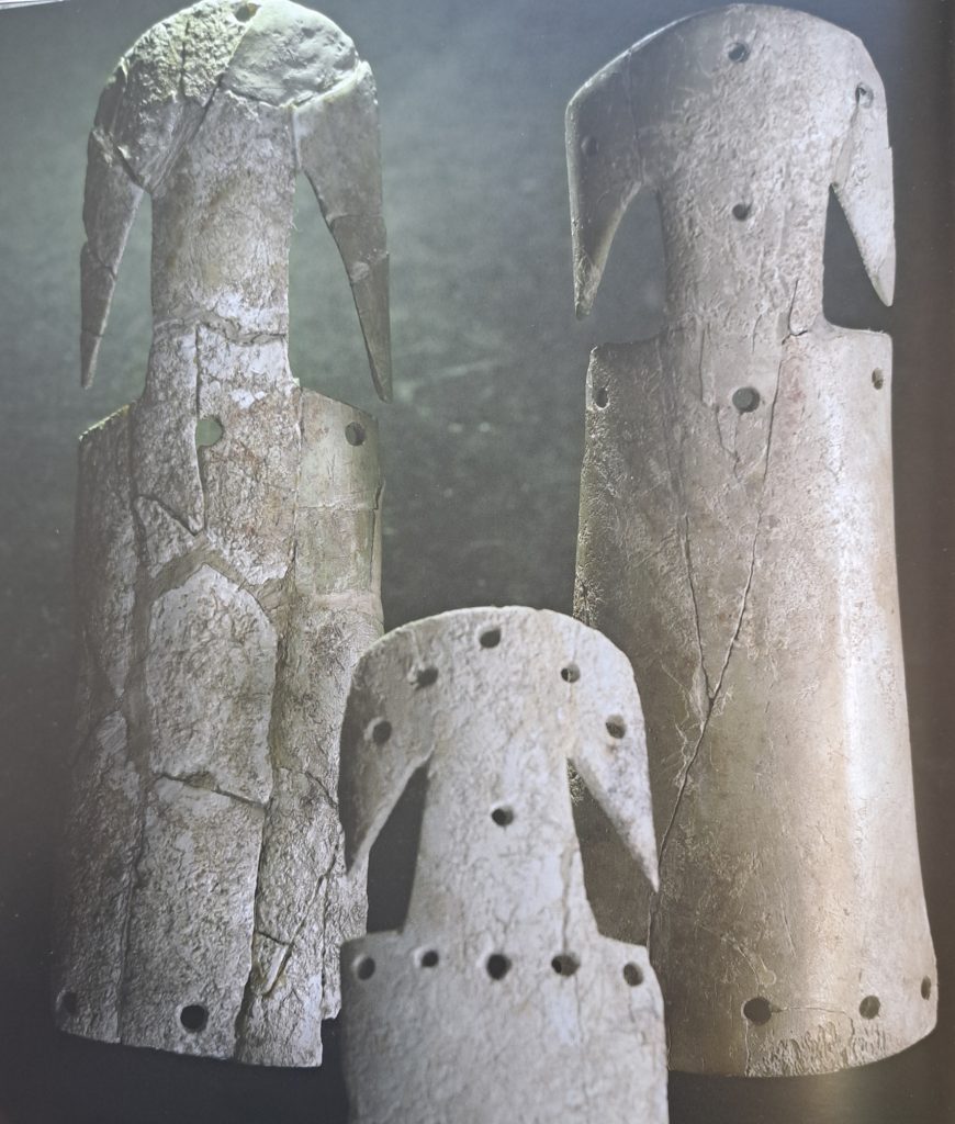 The First King of Europe - Crowdfunding Project