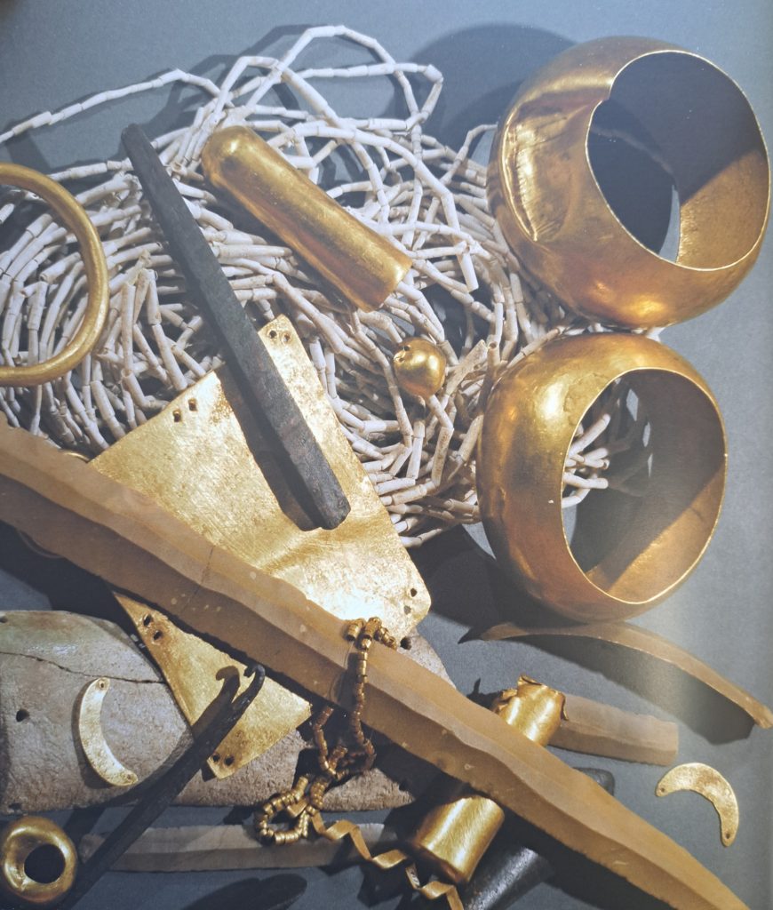 The First King of Europe - Crowdfunding Project