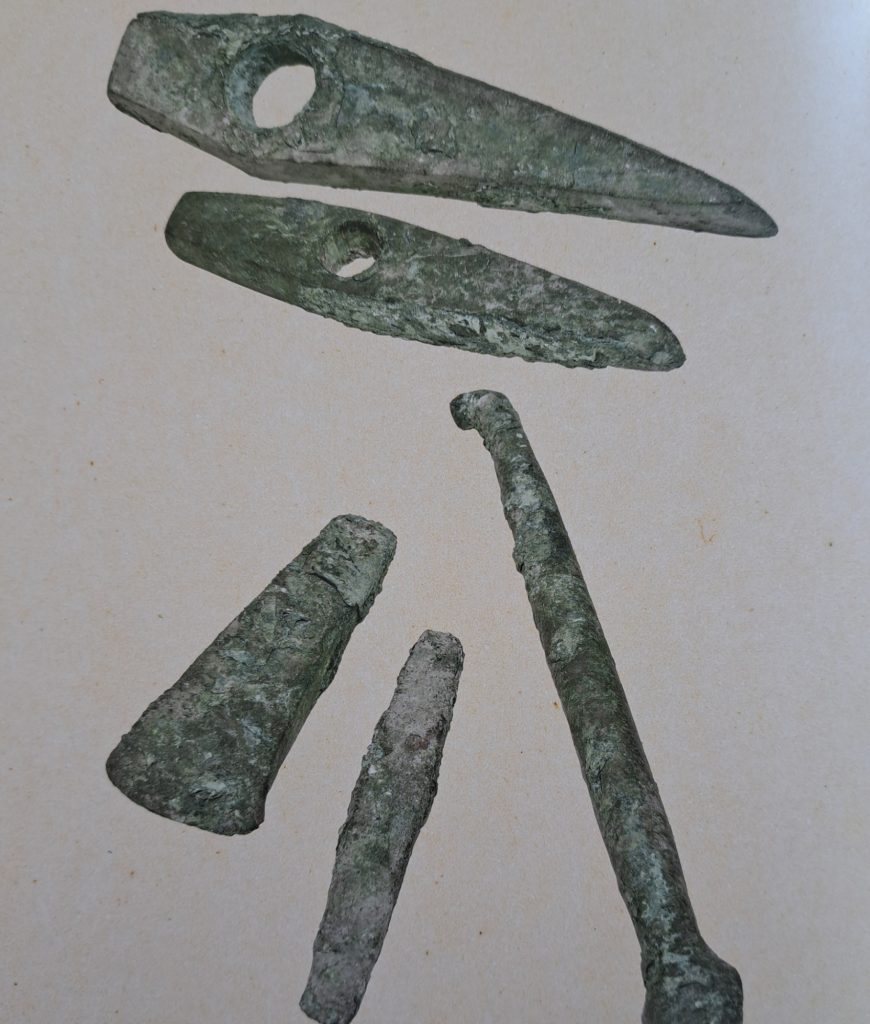 The First King of Europe - Crowdfunding Project